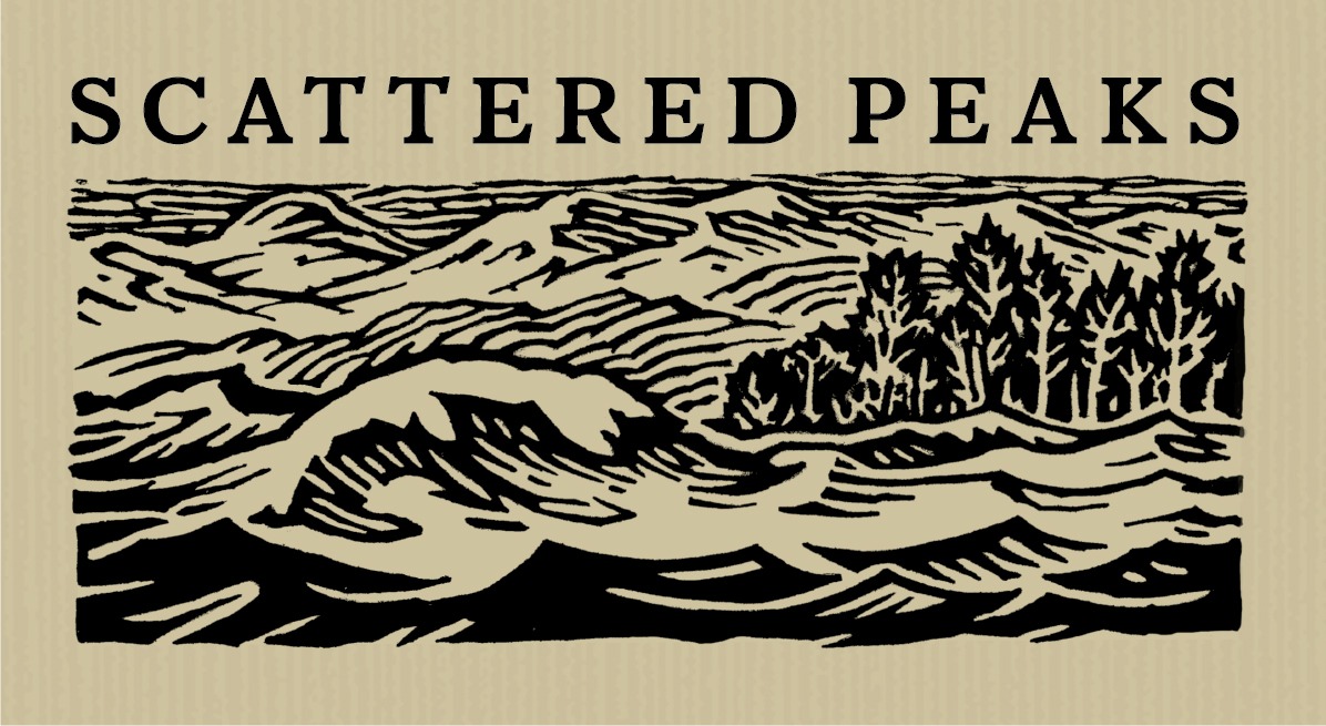 Scattered Peaks 2019 Napa Valley Cabernet Sauvignon - Old Vine Wine ...